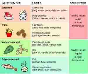 Fat Types & Which Fat You Can Eat? | Just Fitness