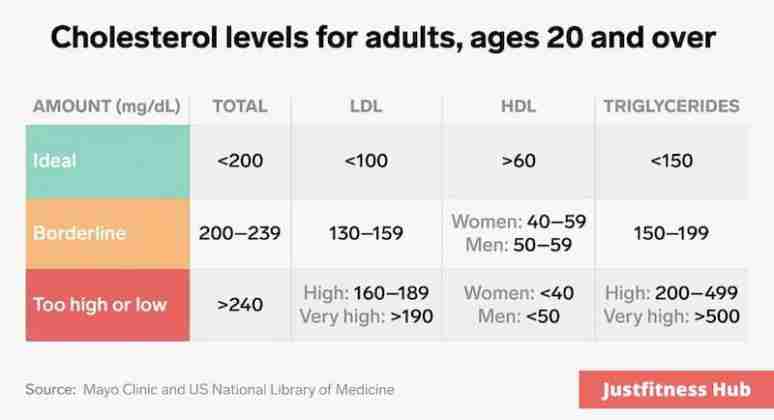 Knowing High Cholesterol Dangers & How To Maintain Your Cholesterol ...